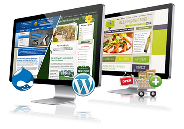 Web Design & Development Company Services
